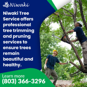 Crape Myrtle Trimming | Niwaki Tree Service Rock Hill SC
