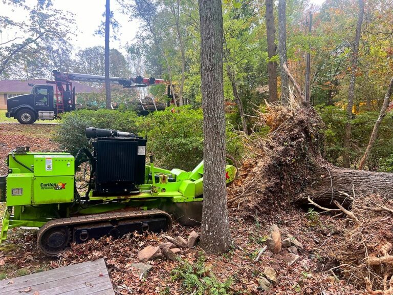 Forestry Mulching Services Rock Hill SC | Niwaki Experts